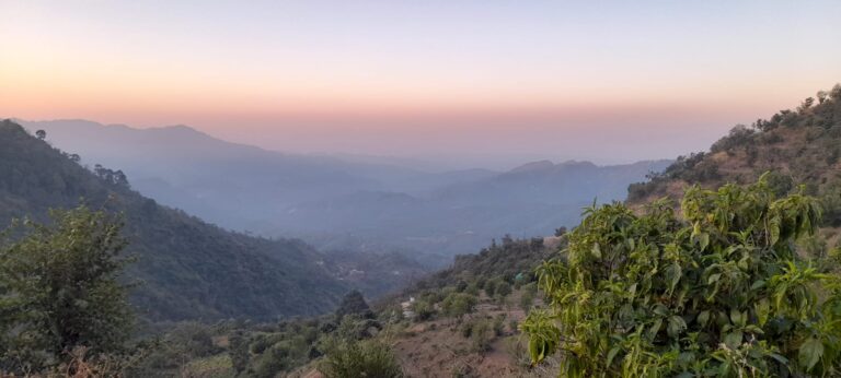 Cassia Resorts – Solan