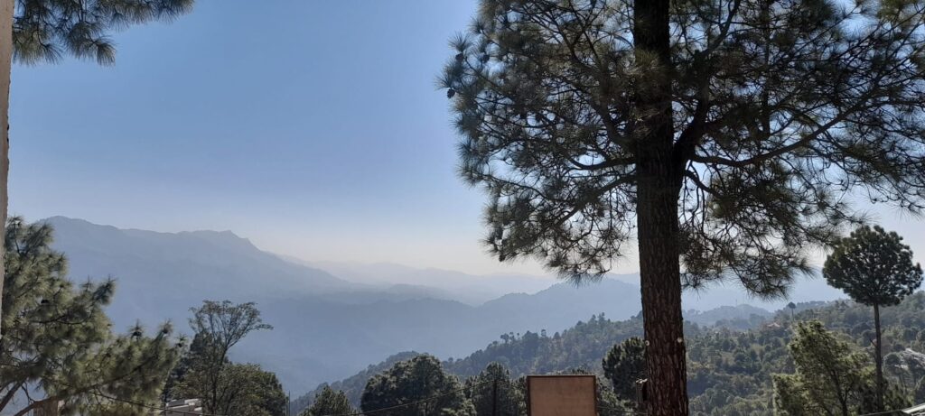 Cassia Resorts – Solan